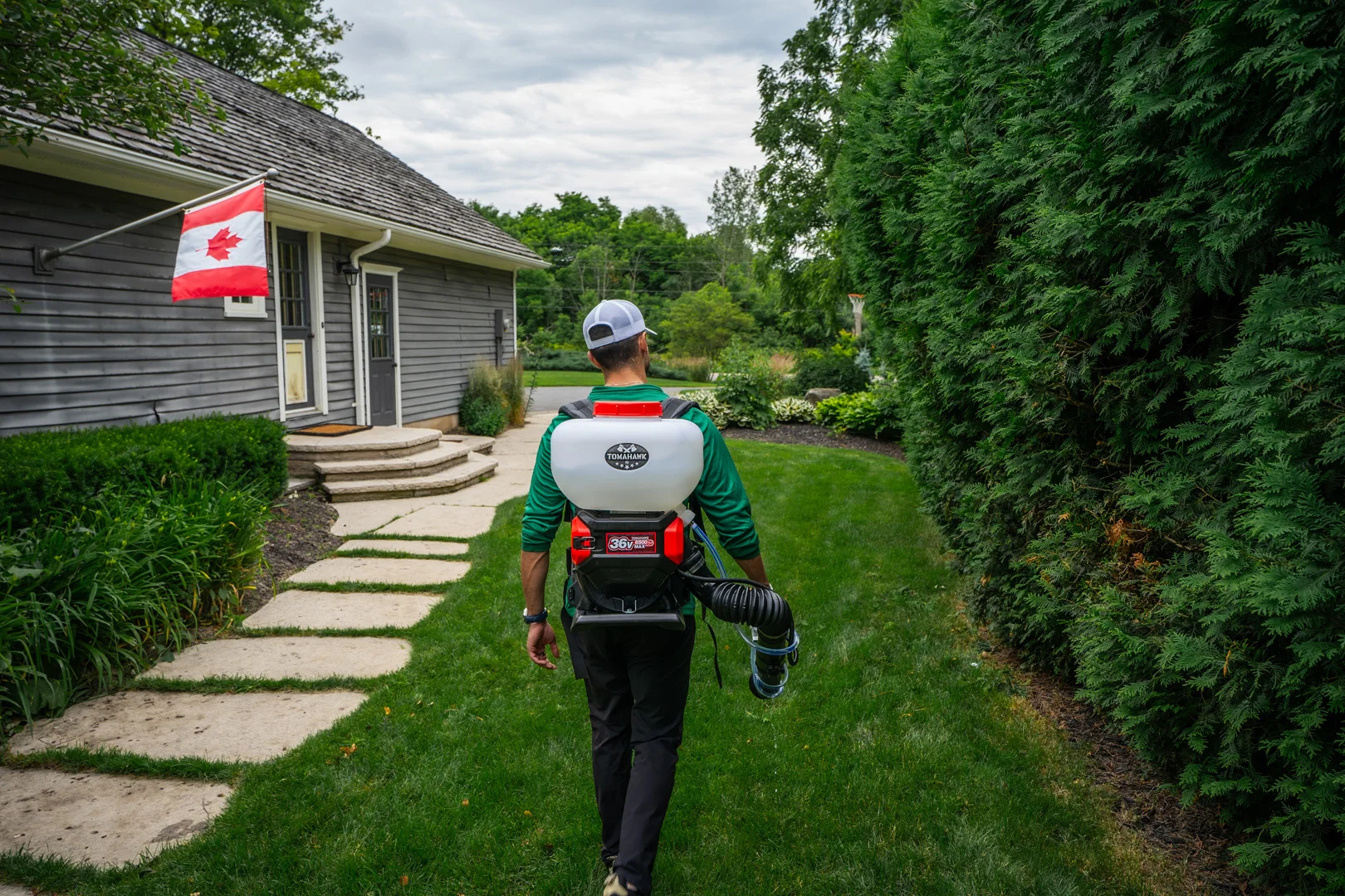 Pest Control Saint John, New Brunswick | Insight Pest Canada