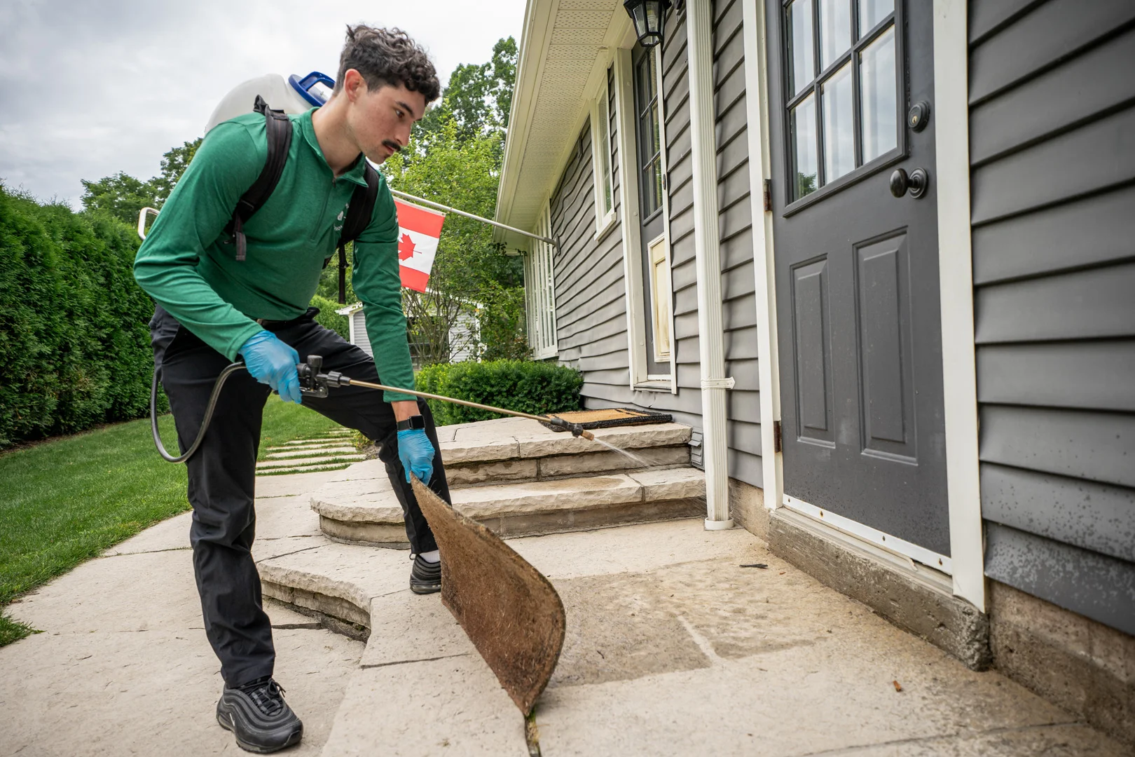 Pest Control Sudbury, Ontario | Insight Pest Canada